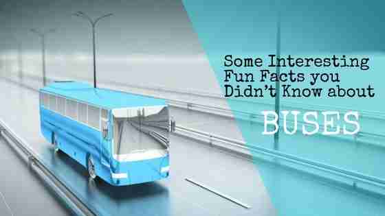 Some Interesting Fun Facts You Didn't Know About Buses
